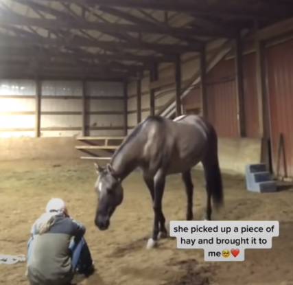 Sweet Horse Comforts Sad Owner