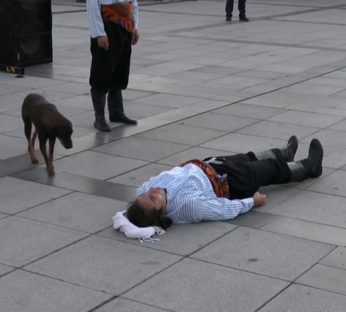 Stray dog disrupts live street performance to comfort actor pretending ...