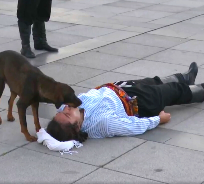 Stray dog disrupts live street performance to comfort actor pretending ...