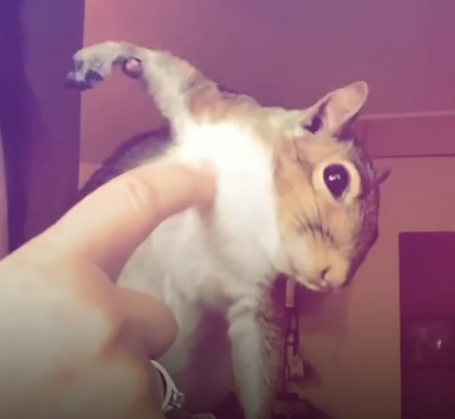 Little pink blob grows up to be adorable and wild