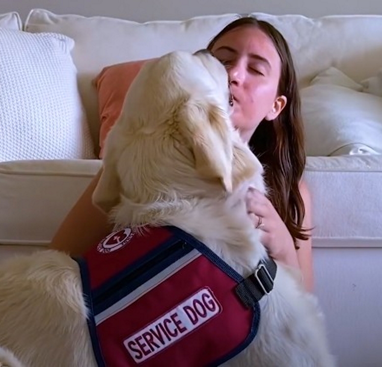 Service dog is extremely awkward around other dogs until he meets a ...