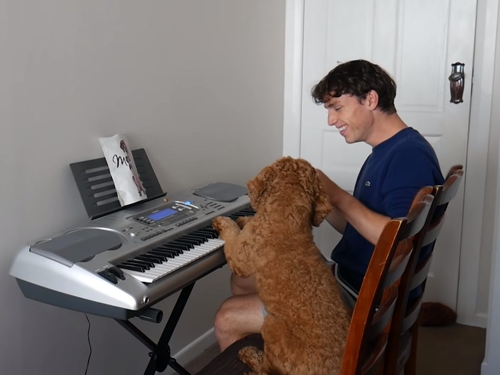 Lad Attempts to Teach His Labradoodle to Play Piano With Him