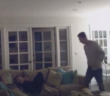 Family Hilariously Freaks Out Over Spider In House