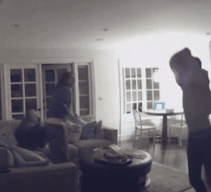 Family Hilariously Freaks Out Over Spider In House