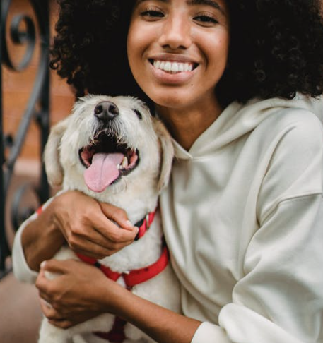 Owner Asks Dog If He Will Cuddle The Cat And Hilarity Ensues