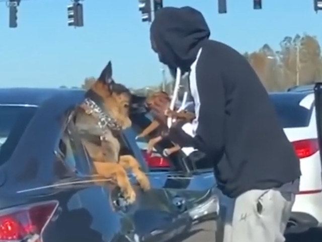 Man hops out of his car at traffic light and starts running toward car ...