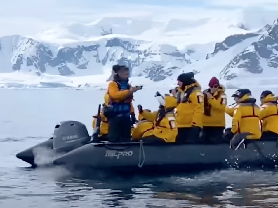 Scared penguin leaps onto boat to avoid being eaten by killer whale