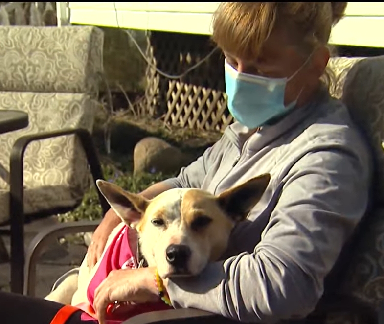 Owner skeptical when dog that went missing 5 years ago turns up