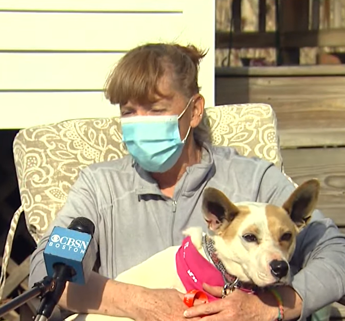Owner skeptical when dog that went missing 5 years ago turns up