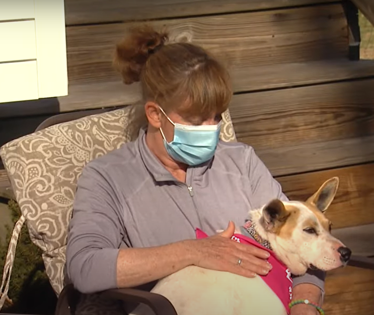 Owner skeptical when dog that went missing 5 years ago turns up