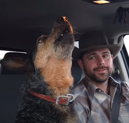Dog’s favorite country song comes on the radio and he sings along ...