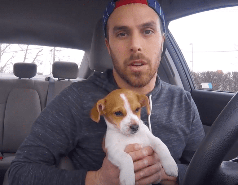 Handsome Uber driver brings puppy on rides and internet can’t get enough