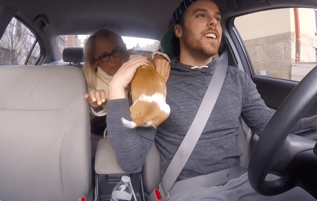 Handsome Uber driver brings puppy on rides and internet can’t get enough