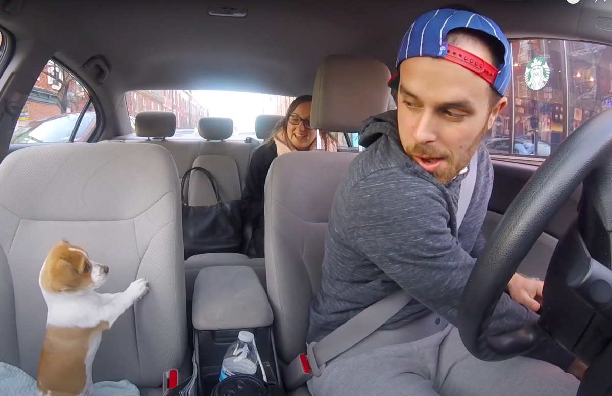 Handsome Uber driver brings puppy on rides and internet can’t get enough