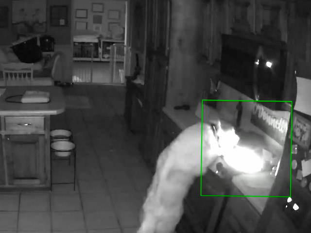 Hungry dog tries to steal cookies and accidentally starts house fire