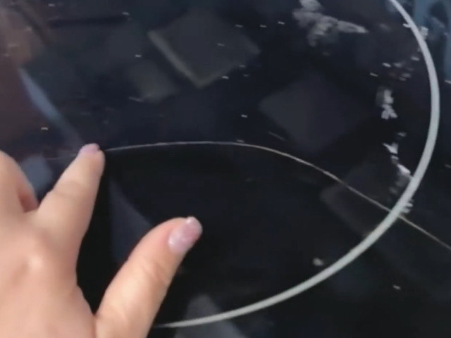 Hungry dog tries to steal cookies and accidentally starts house fire