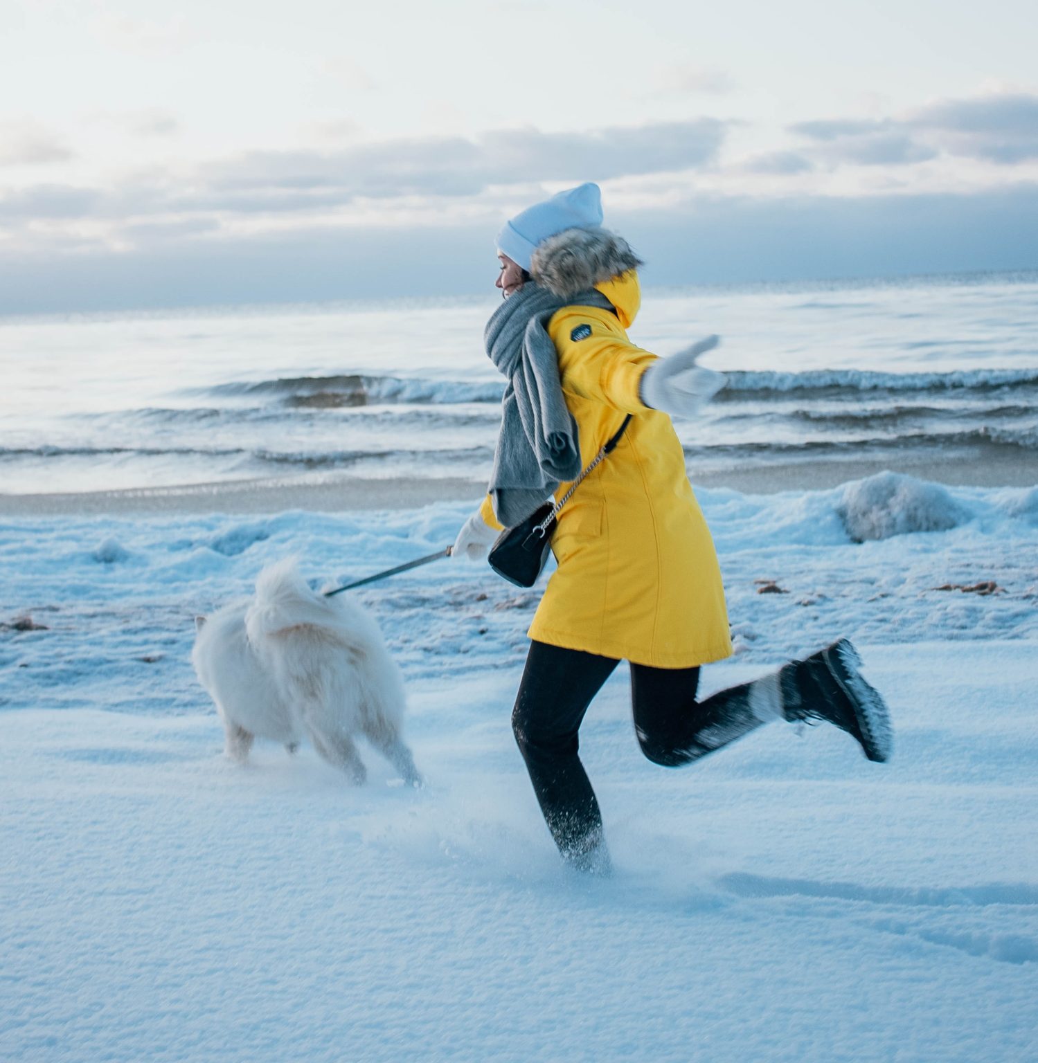 Scared otter swiftly jumps onto boat to escape orca with seconds to spare