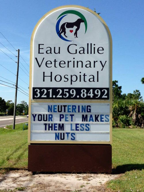 12 funny vet clinic signs that show vets have a great sense of humor