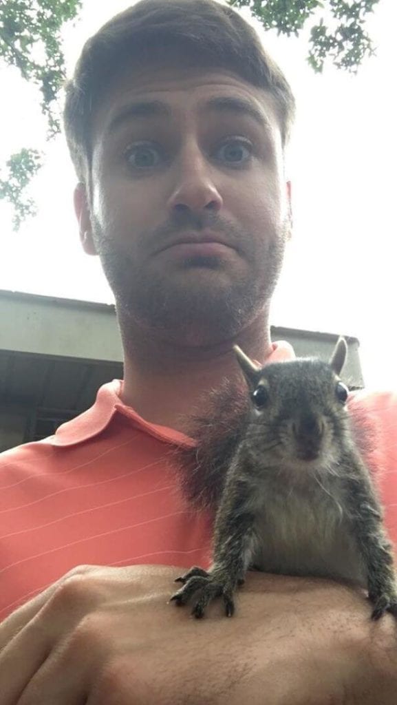 40 Unique animal encounters that ended in an adorably hilarious fashion