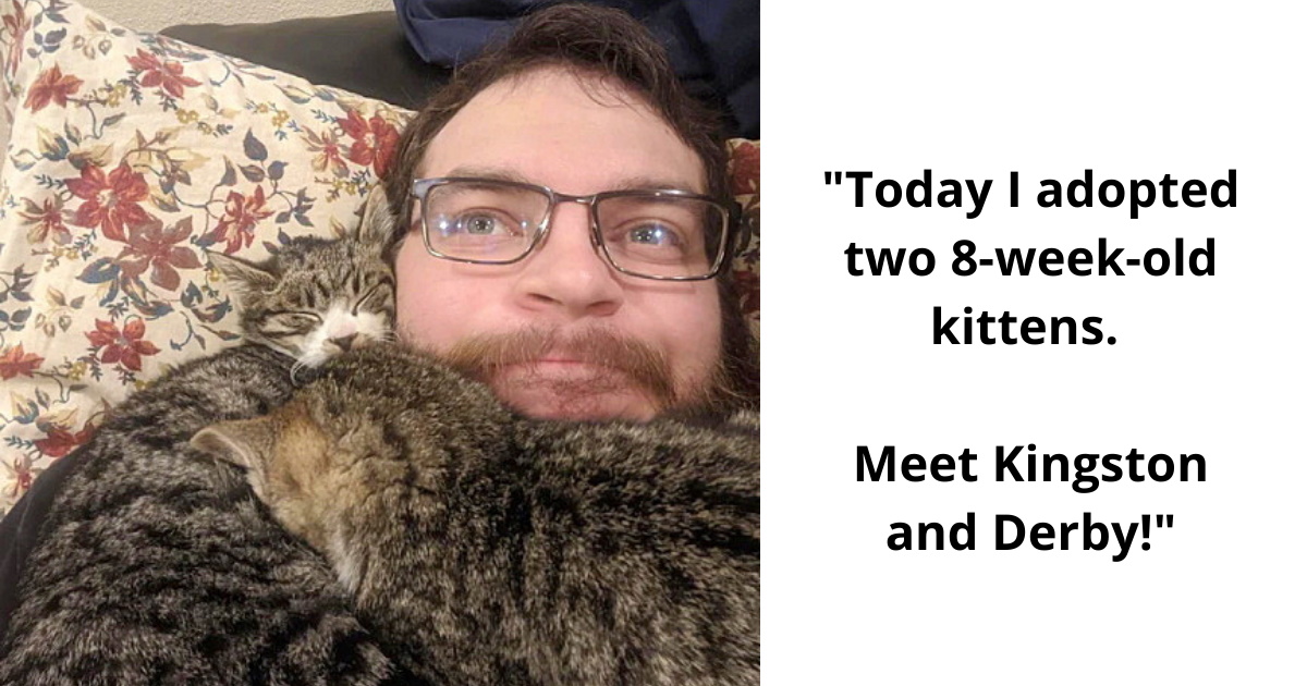 43 People Hilariously Proving Two Cats Are Better Than One