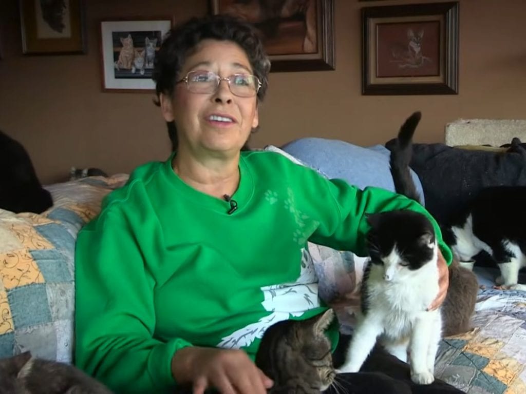 Take a peek inside the house of a woman living with no less than 1,000 cats