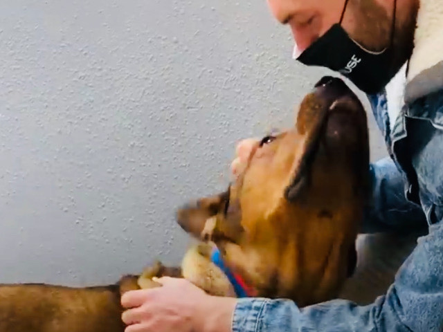 Man meets dog he’s told is ‘aggressive’ and reads note from former owners