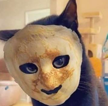 50 photos of pets that gave owners heart attack