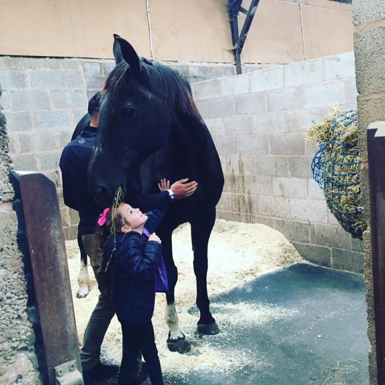 British soldier keeps promise to pay back service horse that helped him ...