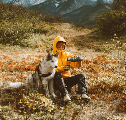 Clever dog shows off his incredible acrobatic skills on slackline