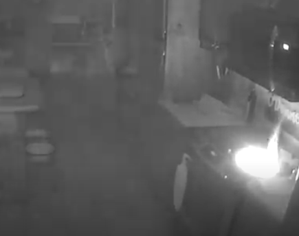 Hungry golden retriever accidentally sets kitchen on fire