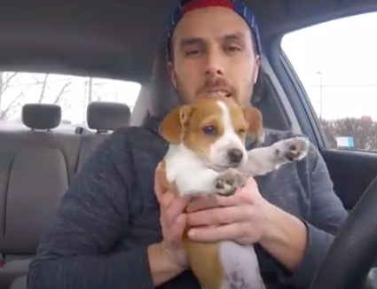 Uber driver brings joy to unsuspecting riders by bringing adorable ...