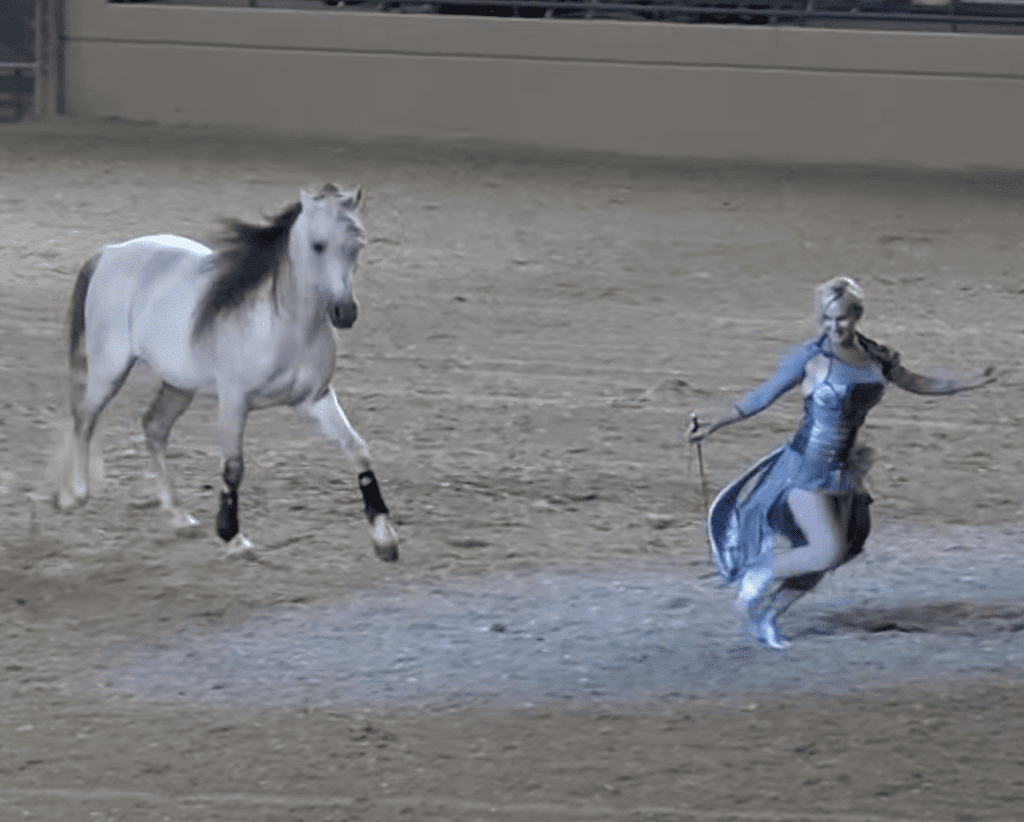 Woman and her 3 horses strut into arena and steal the spotlight with ...