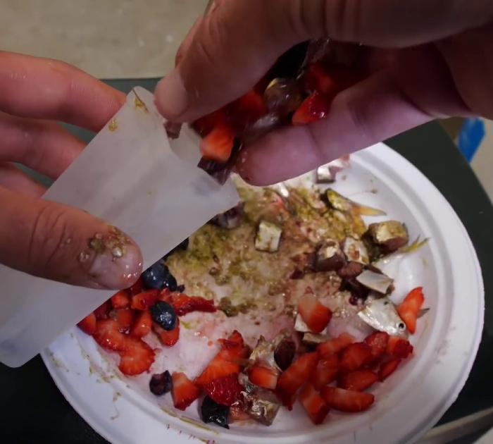 Man makes homemade popsicles for turtles and feeding frenzy gets over ...