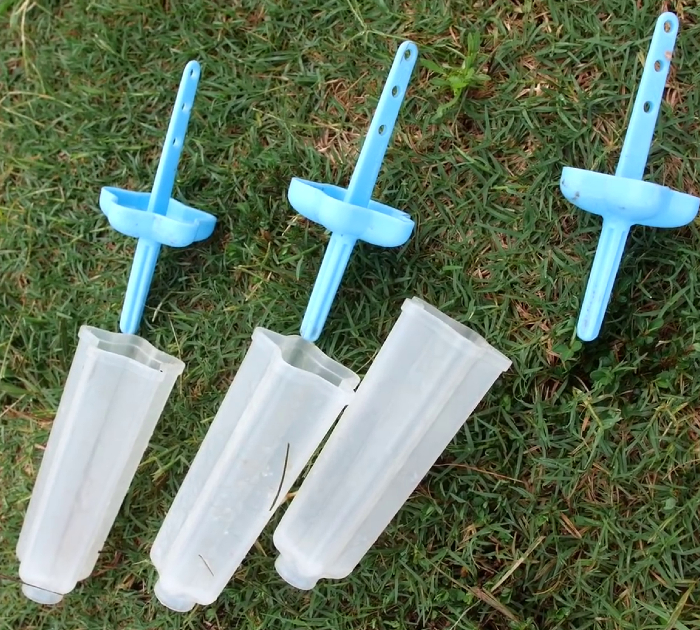 Man makes homemade popsicles for turtles and feeding frenzy gets over ...