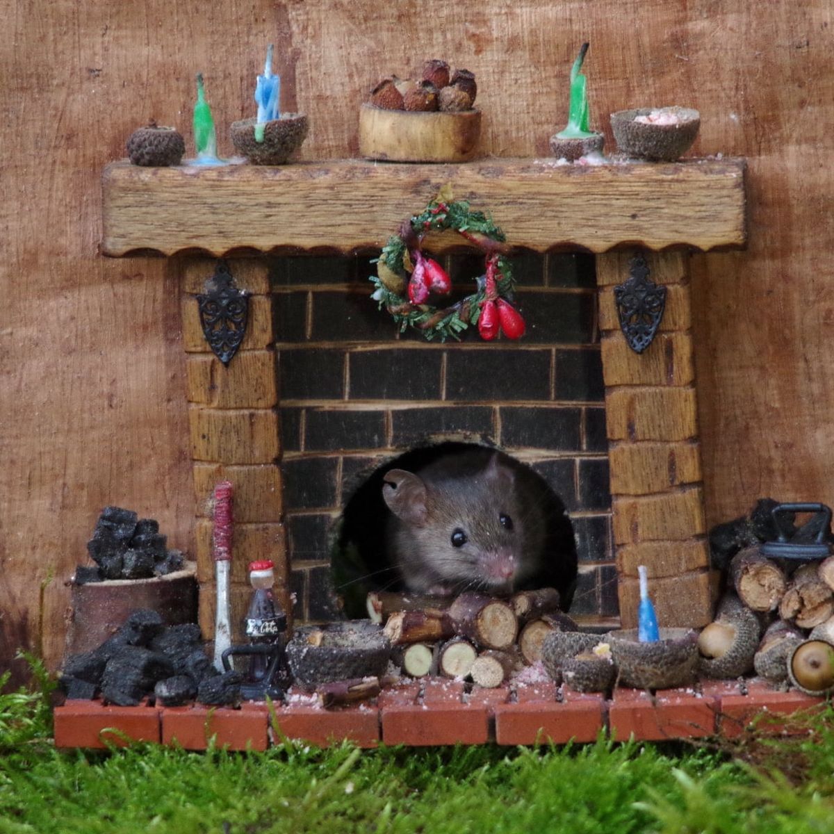 Man Builds Enchanting Village For Mouse He Found In His Garden