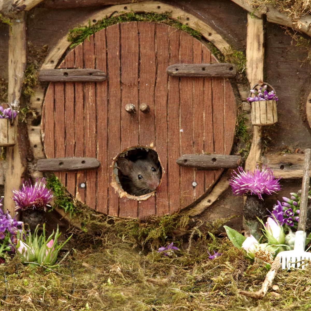 Man Builds Enchanting Village For Mouse He Found In His Garden