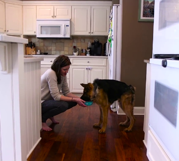 Hunchback German shepherd with short-spine syndrome is living his best life