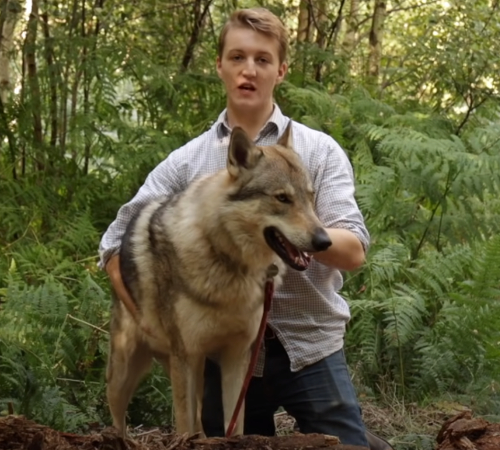 25 Of The Strangest Animal Crossbreeds That Actually Exist