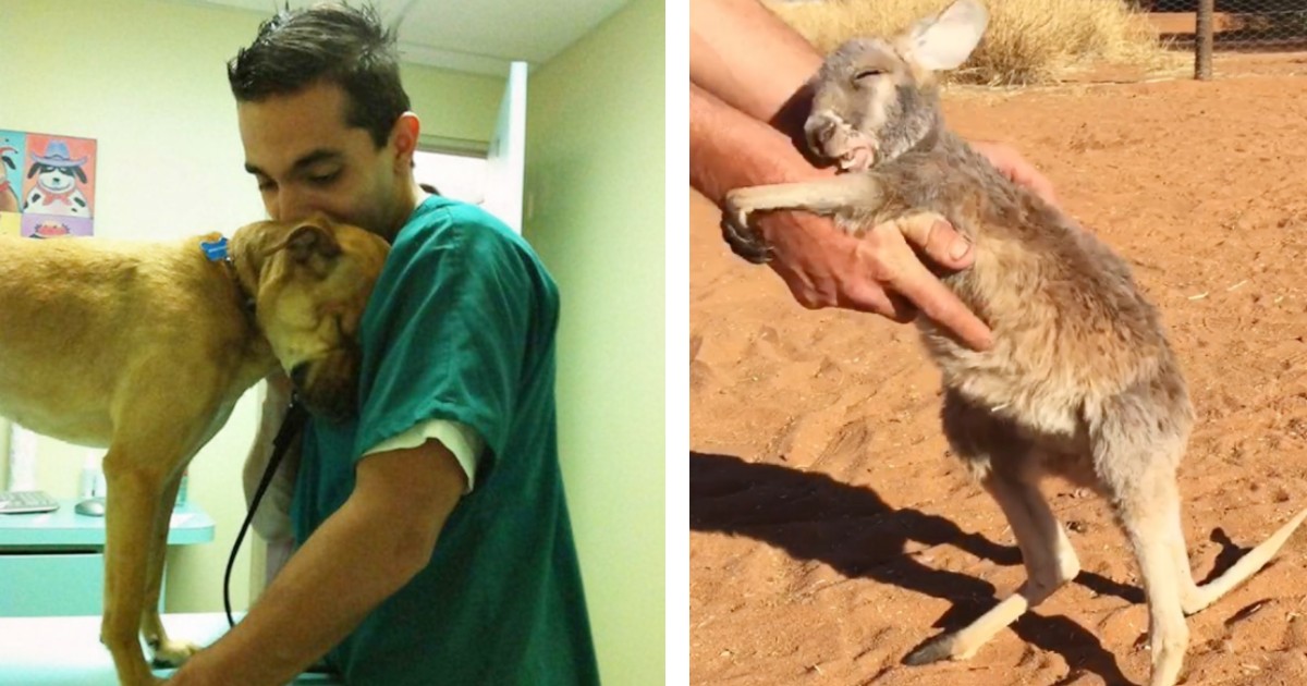 11 photos of rescued animals thanking their saviors