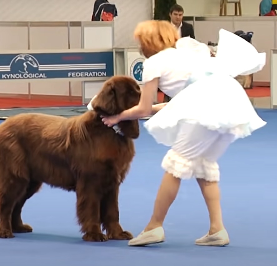 Woman and dog step onstage and stun crowd with incredible dance routine