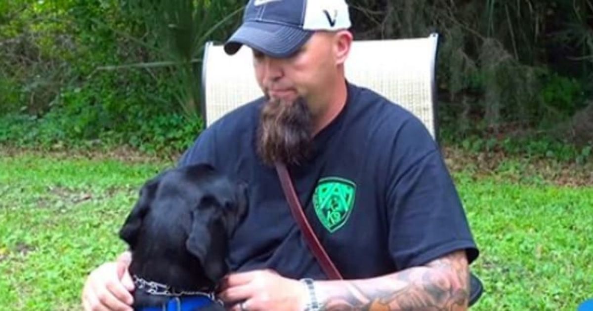 Dog calms veteran as he experiences a PTSD attack during an interview
