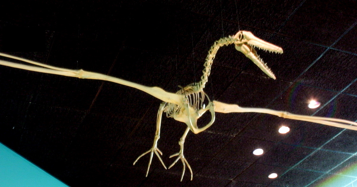 20 extinct animals so frightening they still give nightmares
