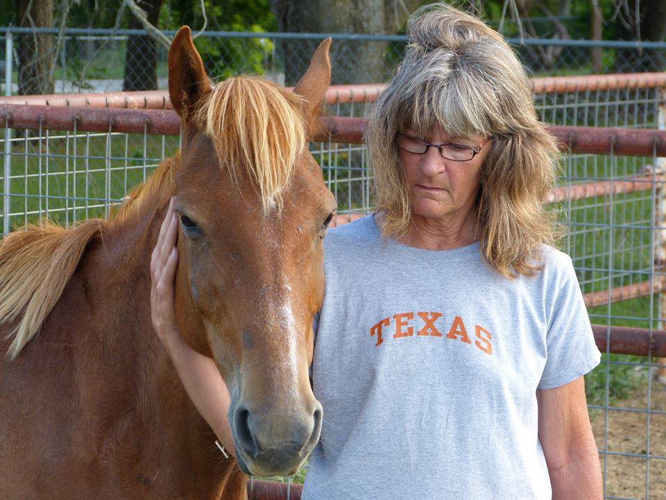 Pregnant, abused mama horse rescued from a slaughterhouse sees her baby ...