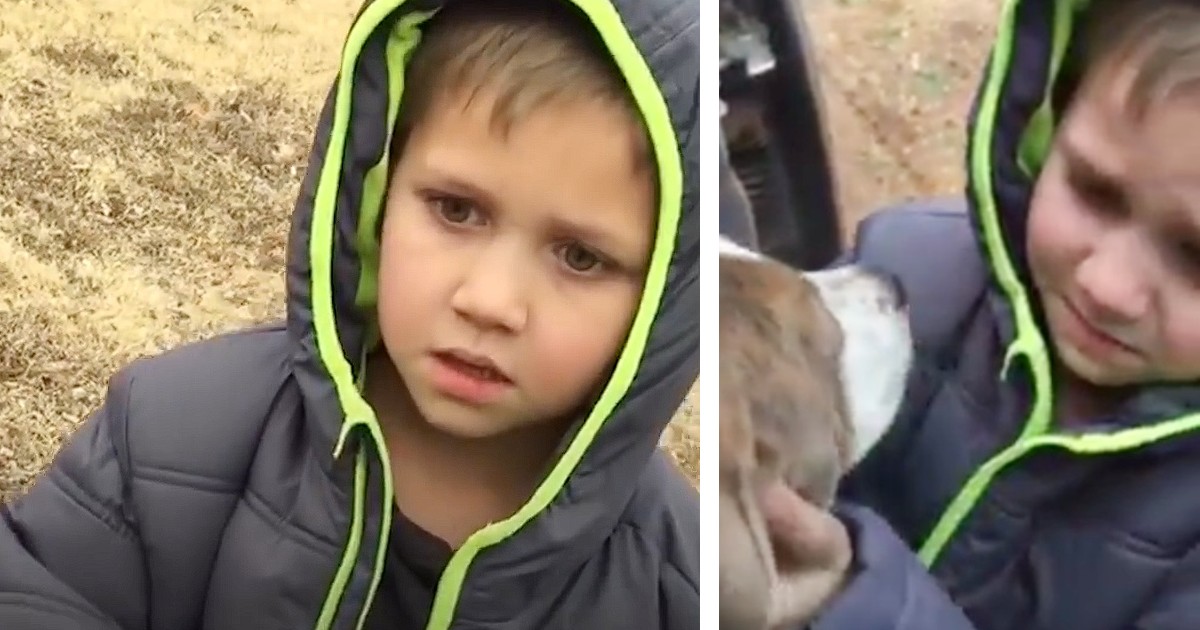 Six-year-old boy tearfully reunites with lost dog