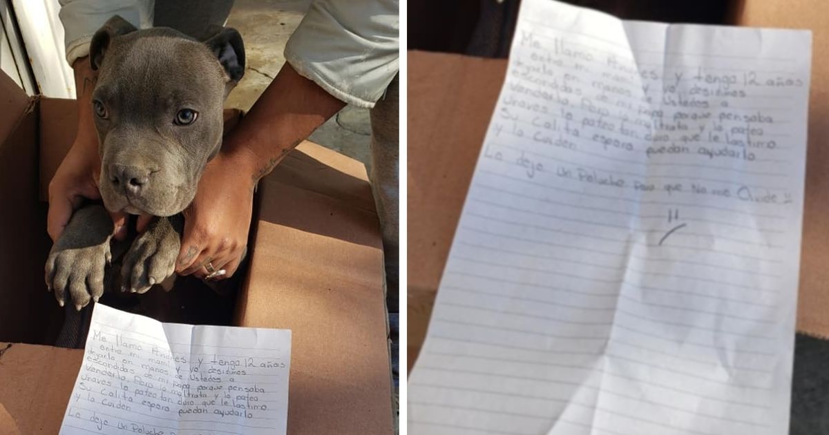 Young boy leaves his puppy at the shelter so his dad can’t abuse it anymore