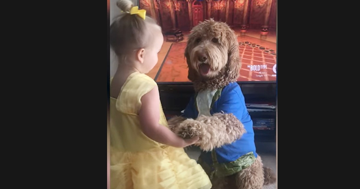 Toddler and her Goldendoodle adorably recreate ‘Beauty and the Beast’ dance
