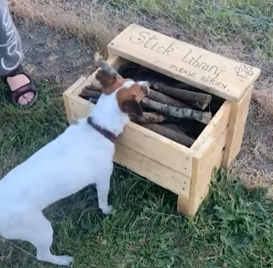 Dad uses old branches to create ‘stick library’ for dog park and the ...