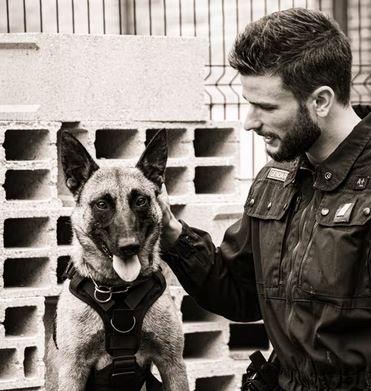 K9 injured in line of duty is honored when released from hospital