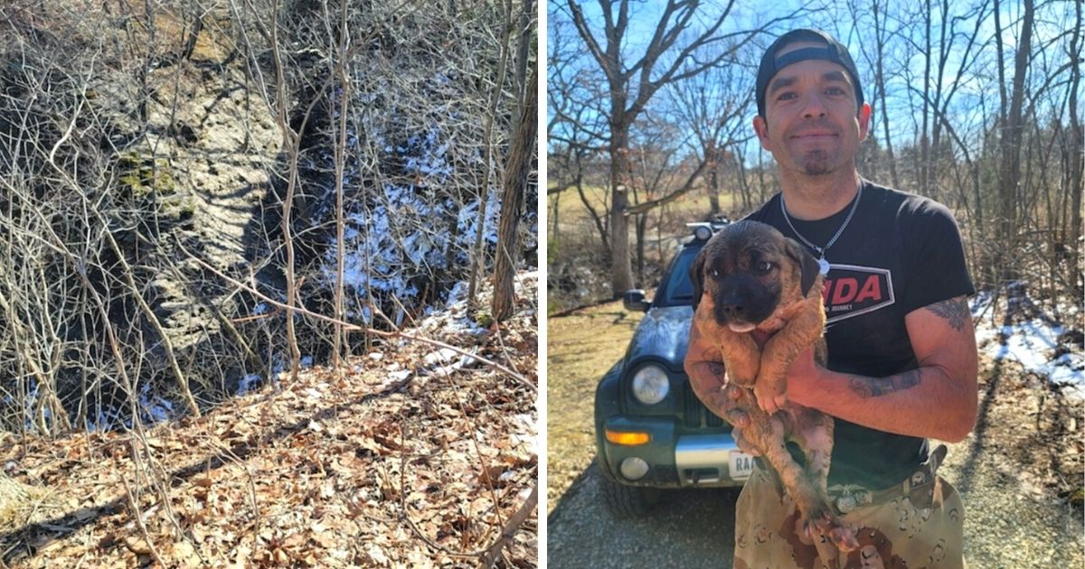 Veteran scales down 100 foot ravine to save puppy in need