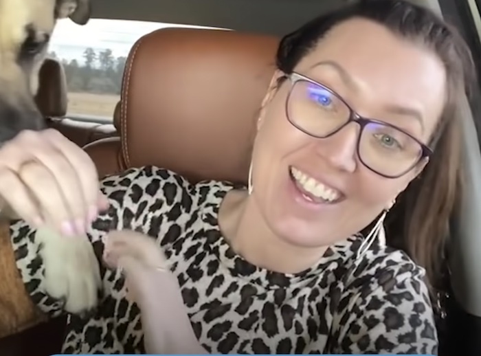 Woman wakes to find an unknown dog on her patio furniture that refuses ...